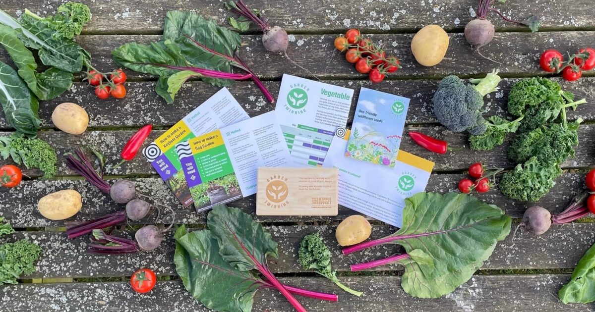 Ripple Effect | Garden twinning