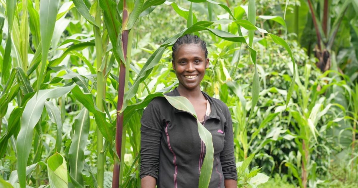 Ripple Effect | The power of a radio appeal