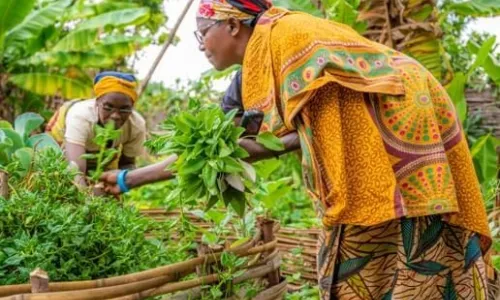 Ripple Effect | The 5 big pluses of pulses