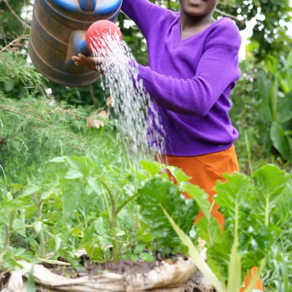 Ripple Effect | Twin your church garden this Lent!
