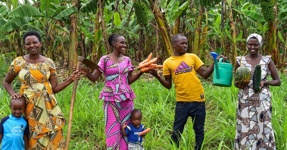 Ripple Effect | Ambassador workshop 2025