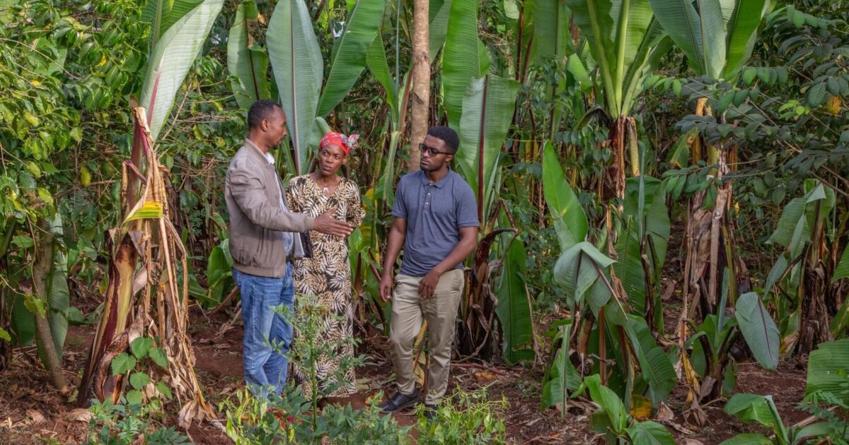 Ripple Effect | Ripple Effect | Trusts & foundations