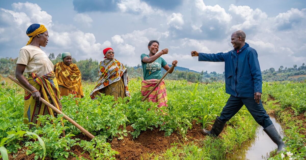 Ripple Effect | US team