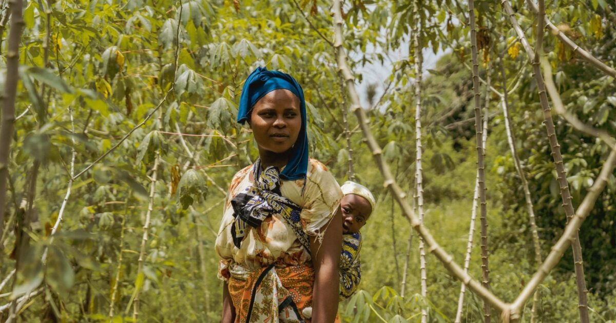 Ripple Effect | Harvest