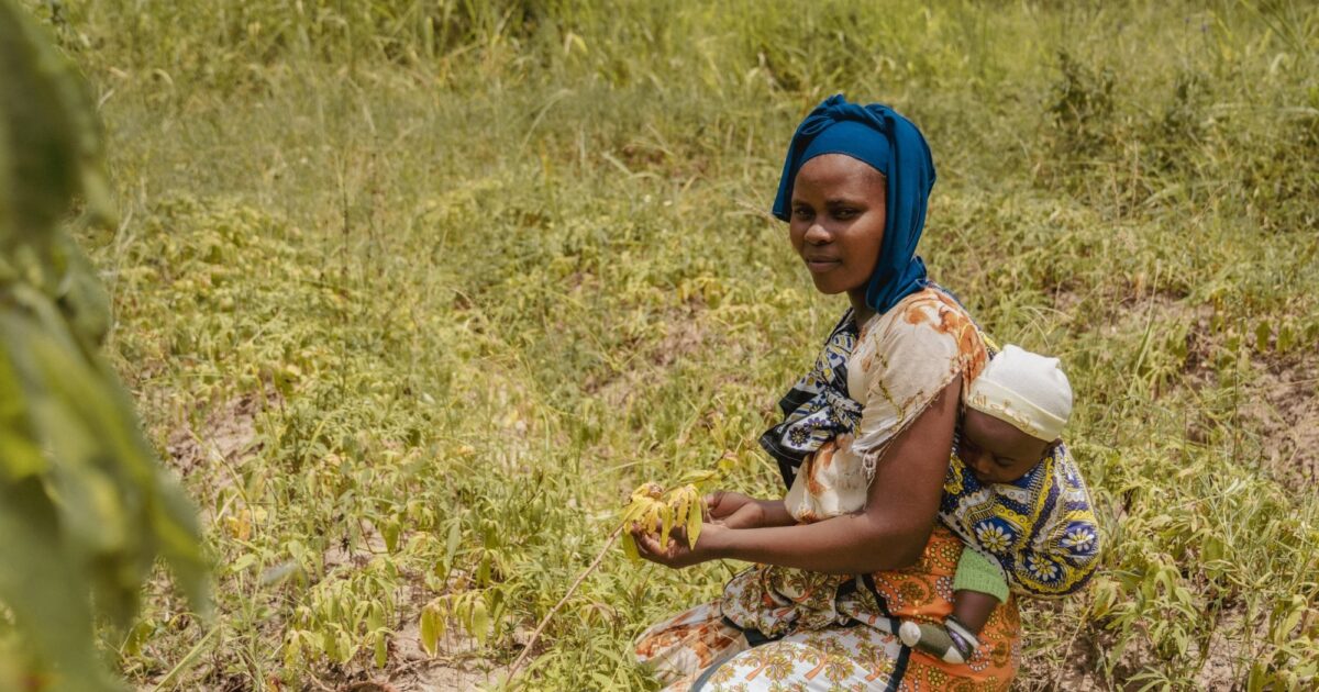 Ripple Effect | Harvest resources sign up