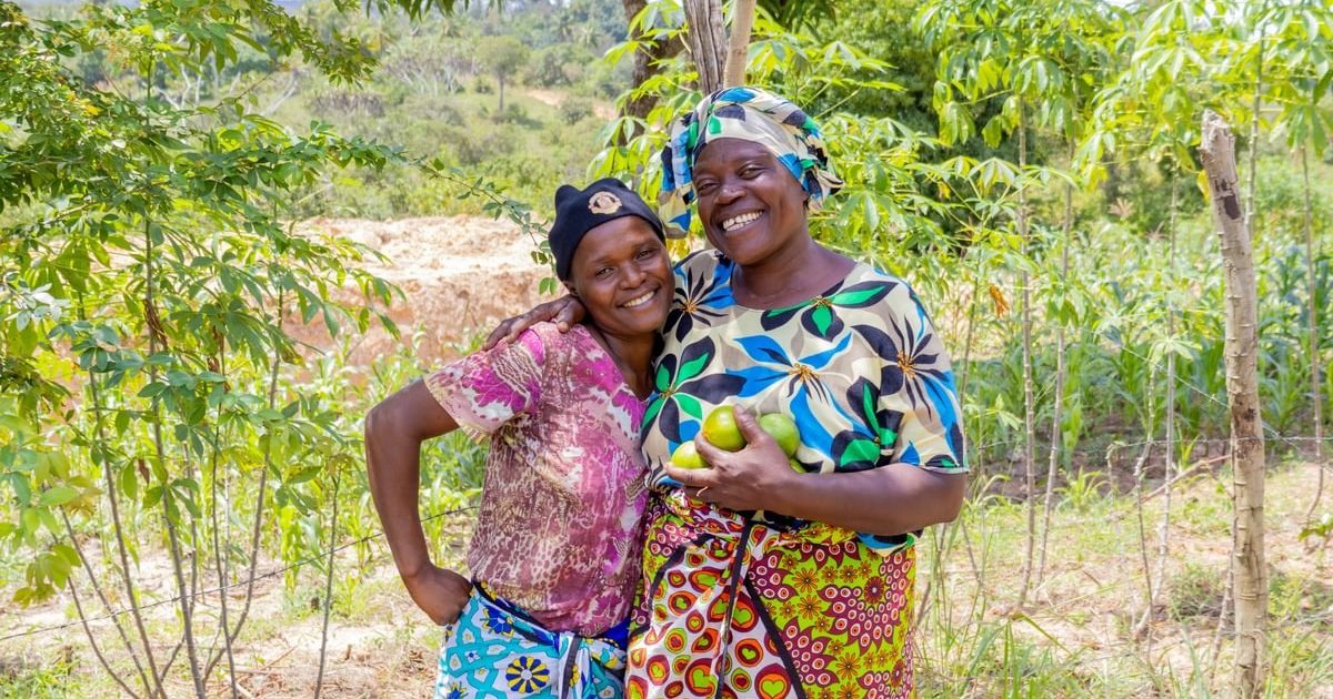 Ripple Effect | Ambassador workshop information 2025