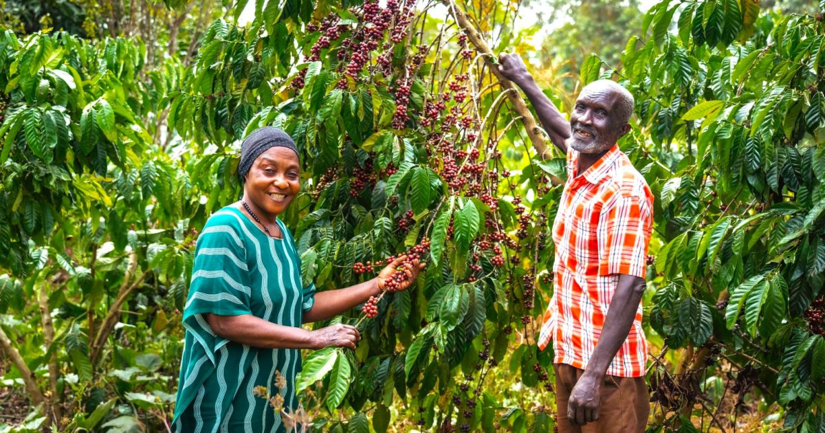 Ripple Effect | Uganda