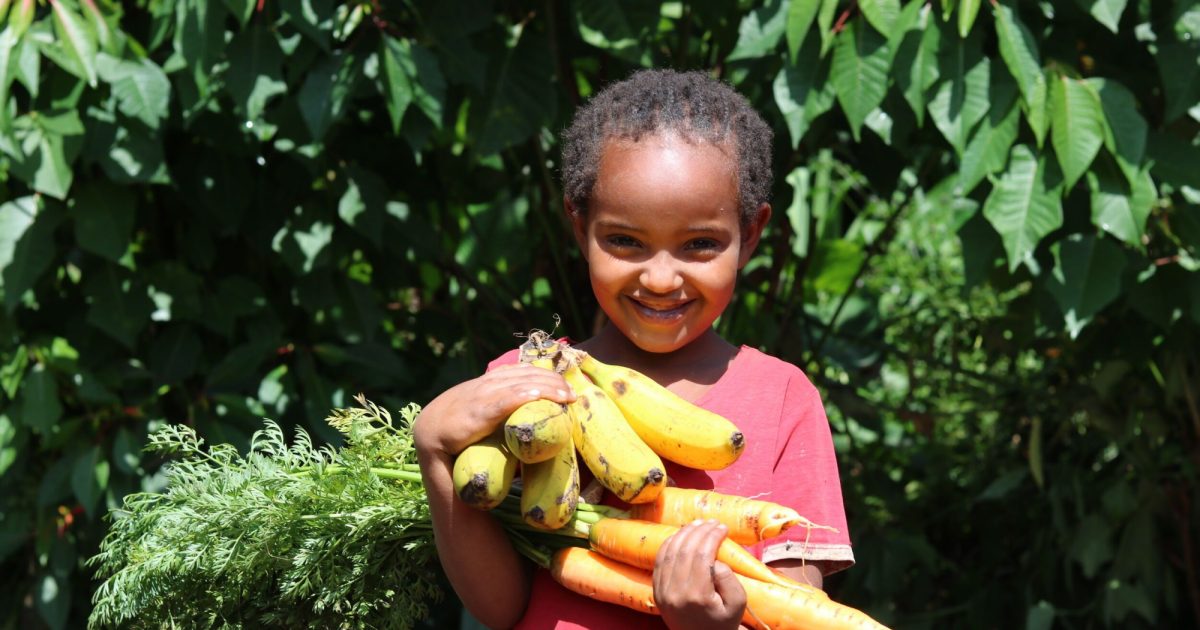 Ripple Effect | Gifts