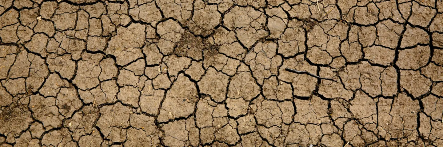 Ripple Effect | Zambia drought 2024: food shortages, famine, and…