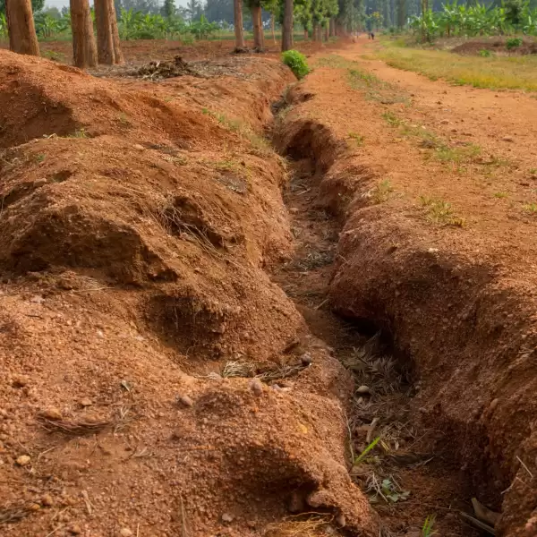 Ripple Effect | Rwanda