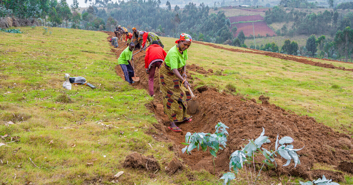 Ripple Effect | Breadth vs Depth: our strategic choice