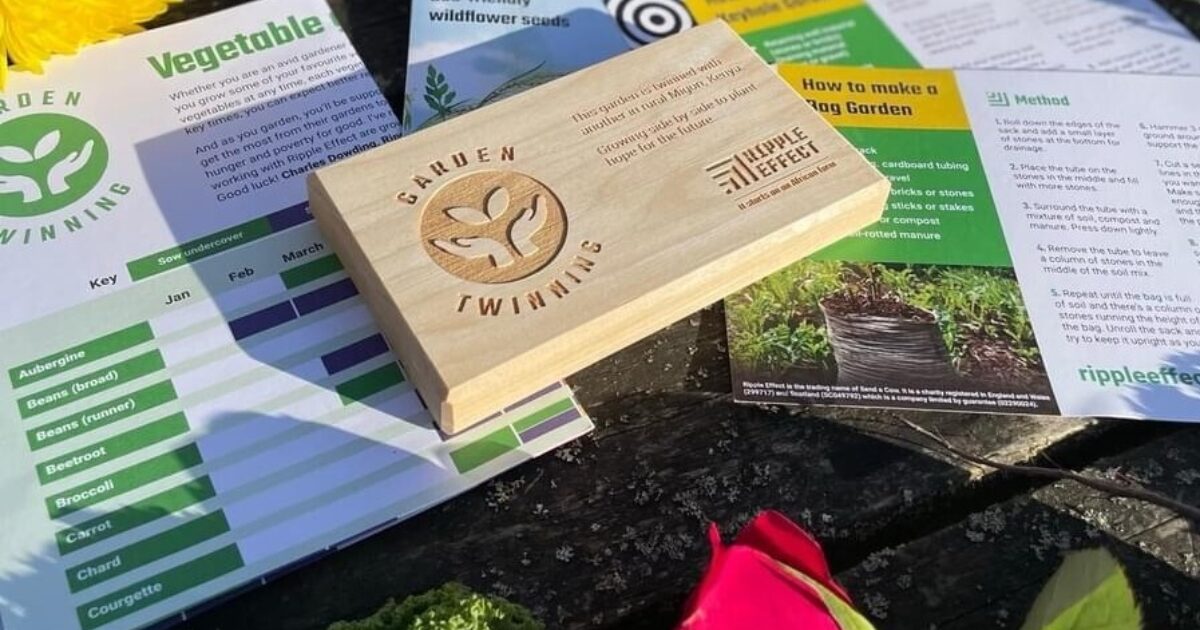 Ripple Effect | Garden Twinning