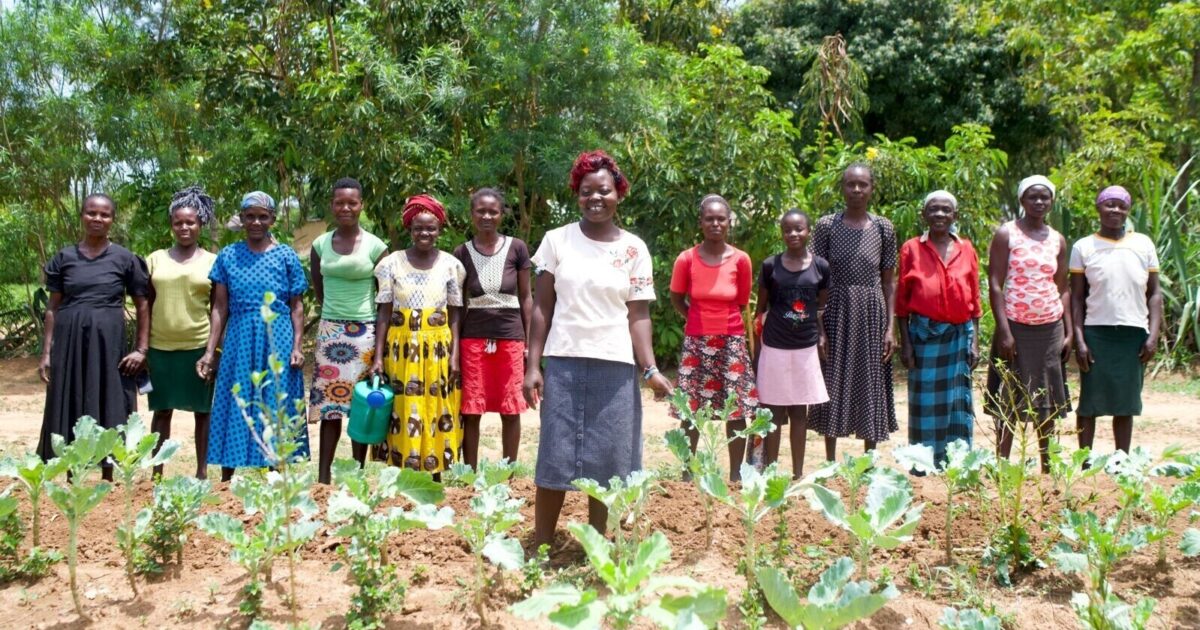 Ripple Effect | How can NGOs motivate and sustain volunteer farmer…