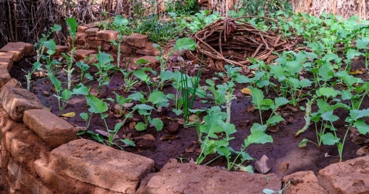 Ripple Effect | Working with communities #ForNature