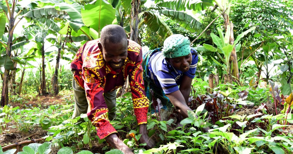 ripple effect uganda logo