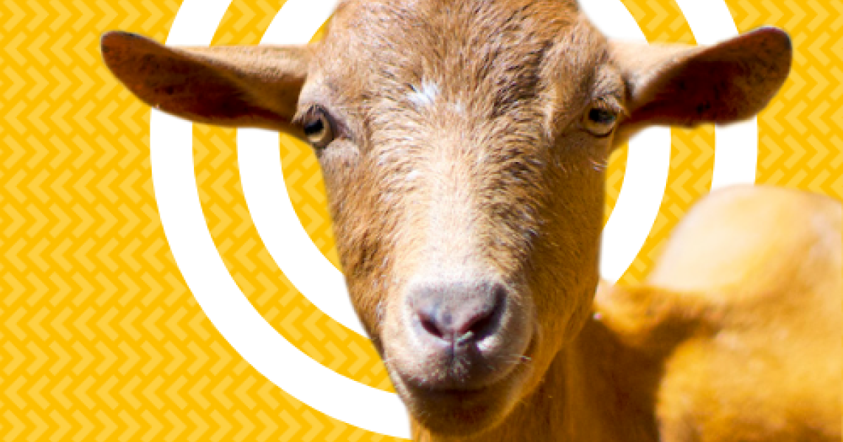 Ripple Effect | Charity Gift - Glorious Goat